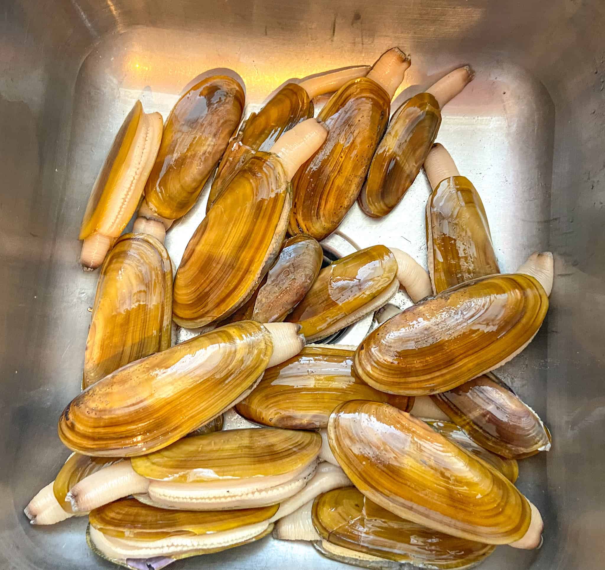 Suzy's Garlic Razor Clam Pizza - The Perfect Tide