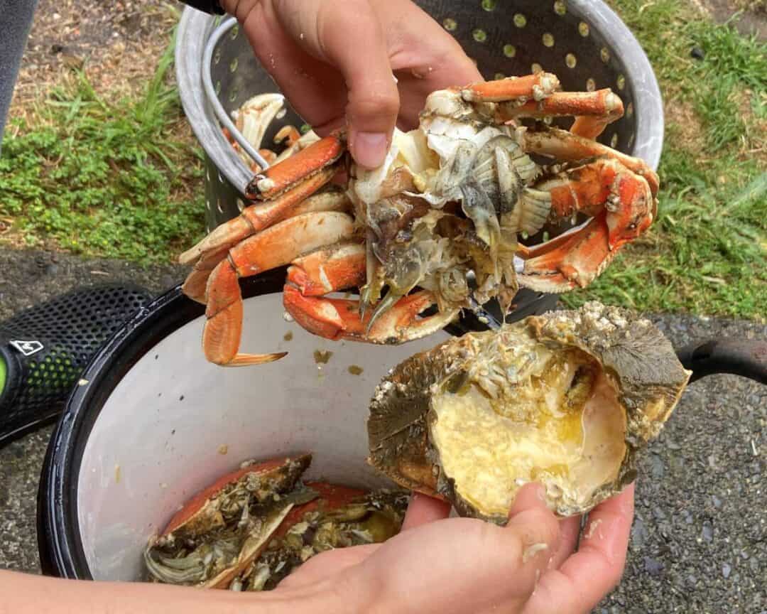 How To Clean, Open and Crack Cooked Crab (& video)
