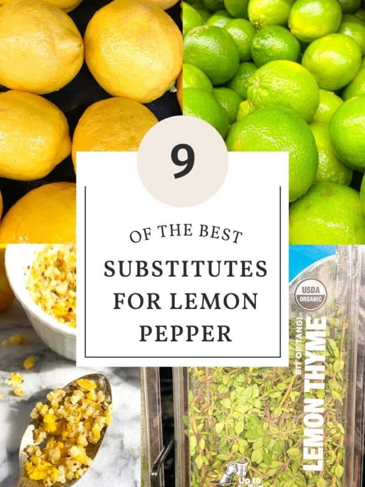 12 Best Substitutes For Mint