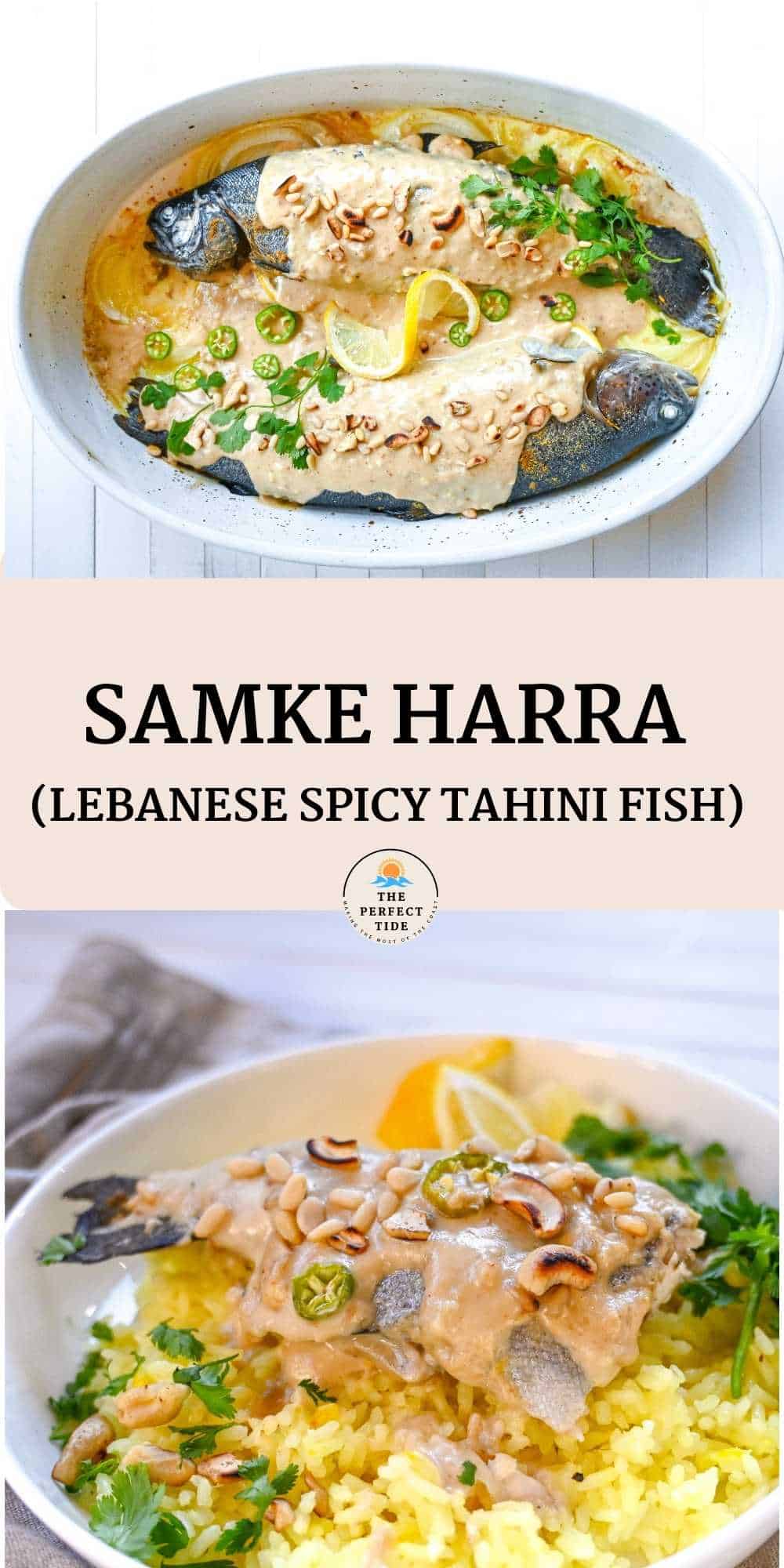 Samke Harra - Lebanese Tahini Fish