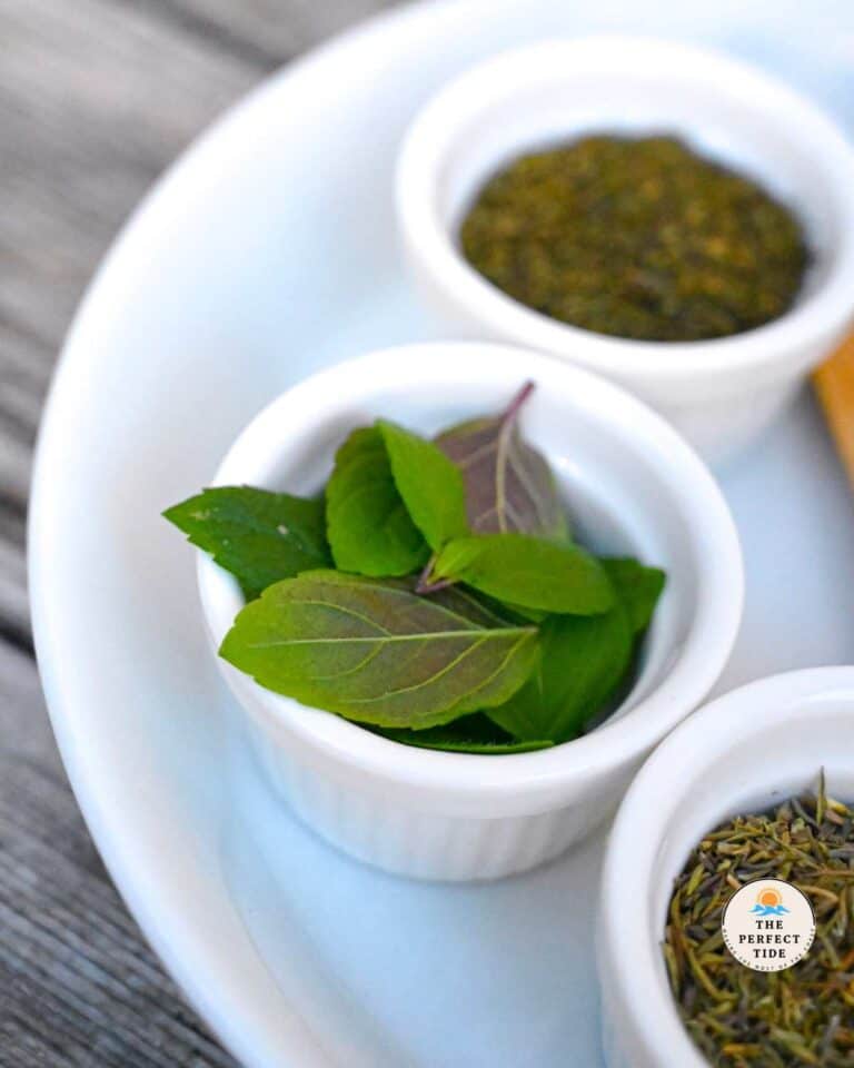 12 Best Substitutes For Mint