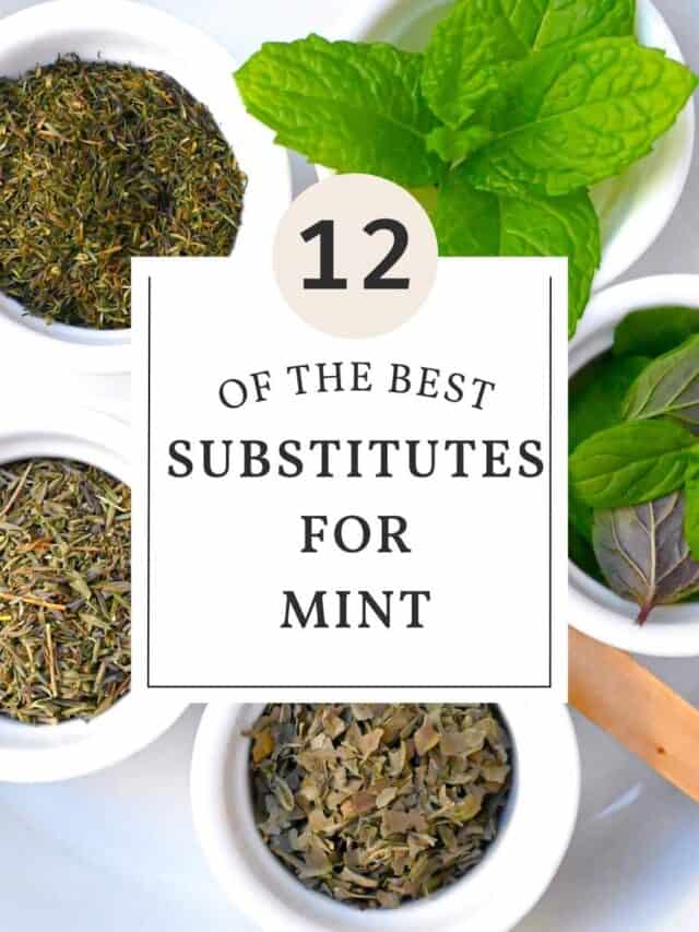 12 Best Substitutes For Chia Seeds For Every Recipe