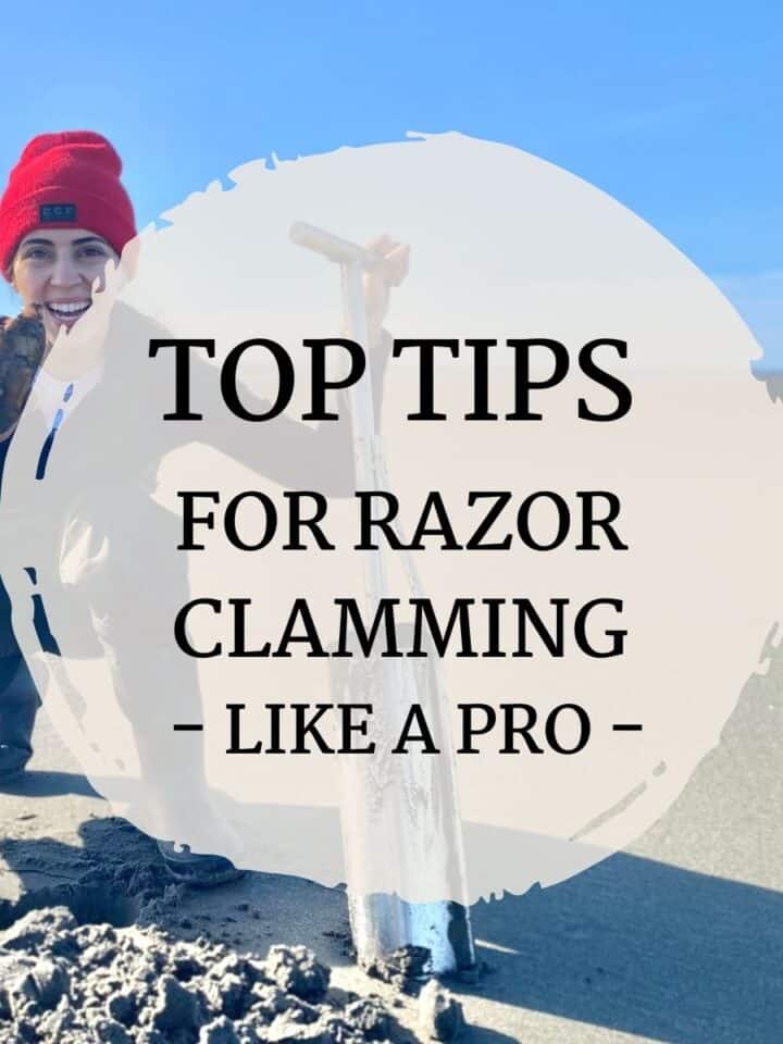 Everything You Need To Know About Razor Clams - The Perfect Tide