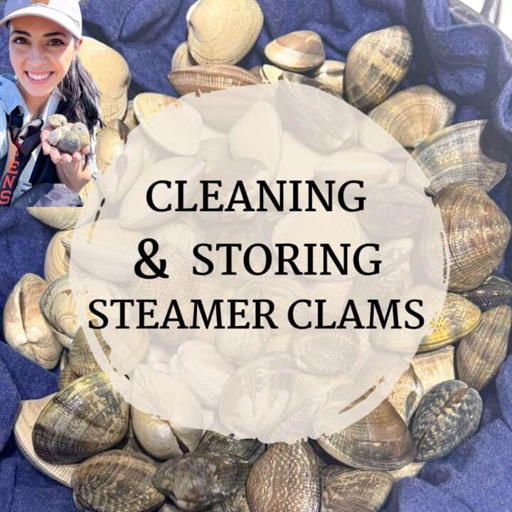 How to Clean Clams (& Purge All The Sand) - The Perfect Tide