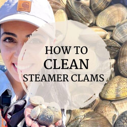 How to Clean Clams (& Purge All The Sand) - The Perfect Tide