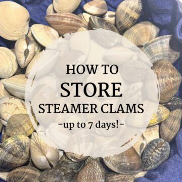 How To Store Clams (to Last a Week) - The Perfect Tide