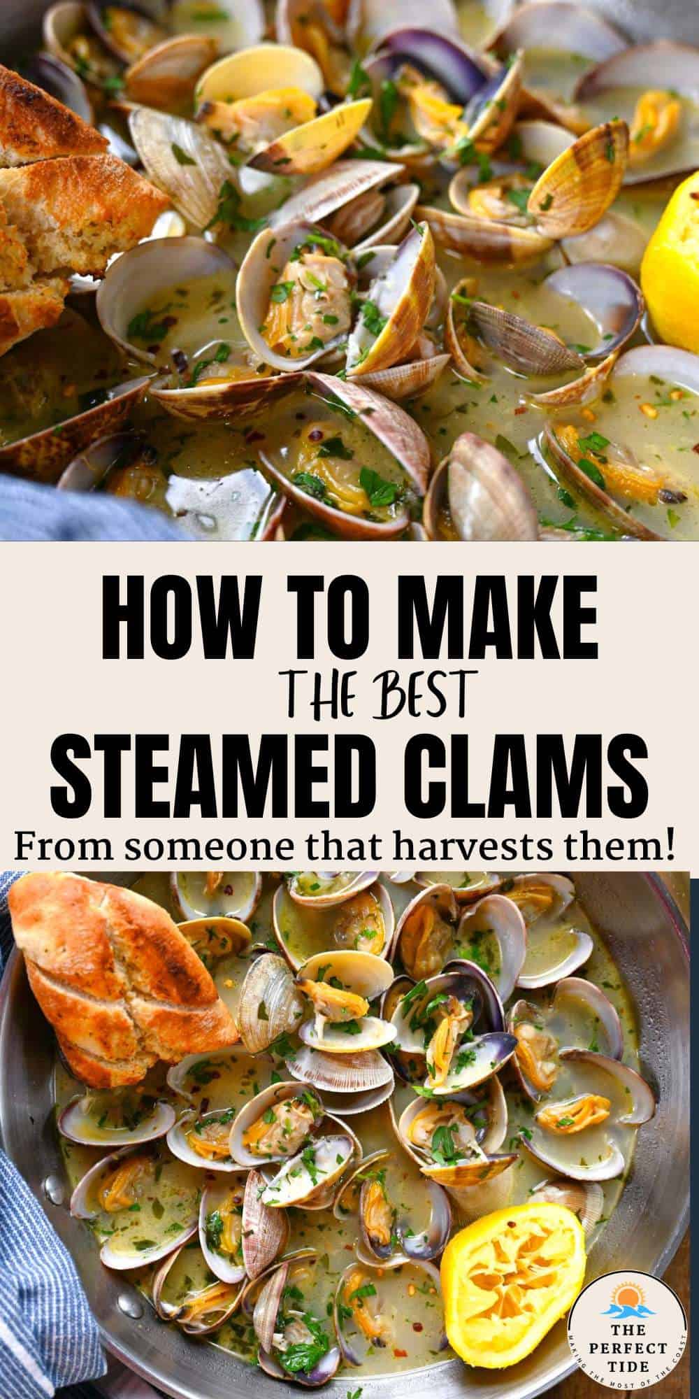 How to Make Steamed Clams in White Wine Sauce - The Perfect Tide