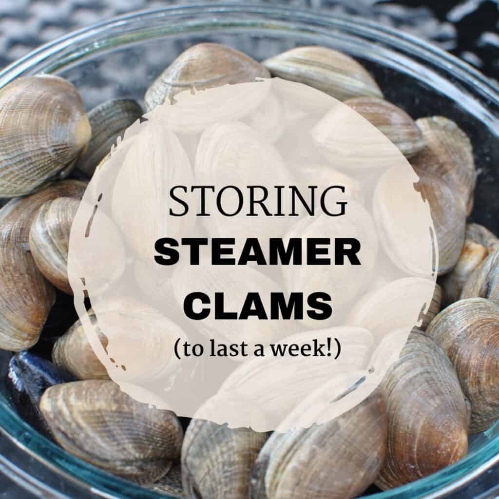 How To Store Clams (to Last a Week) - The Perfect Tide