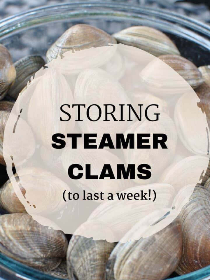 How to Clean Clams (& Purge All The Sand) - The Perfect Tide